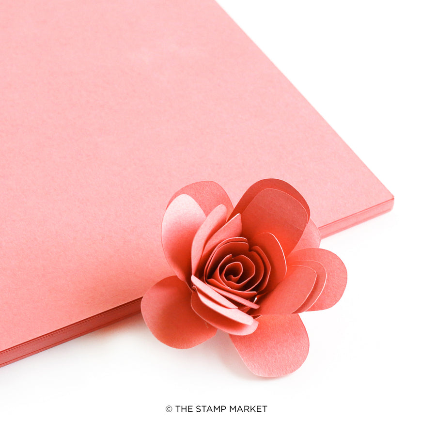 Salmon – The Stamp Market