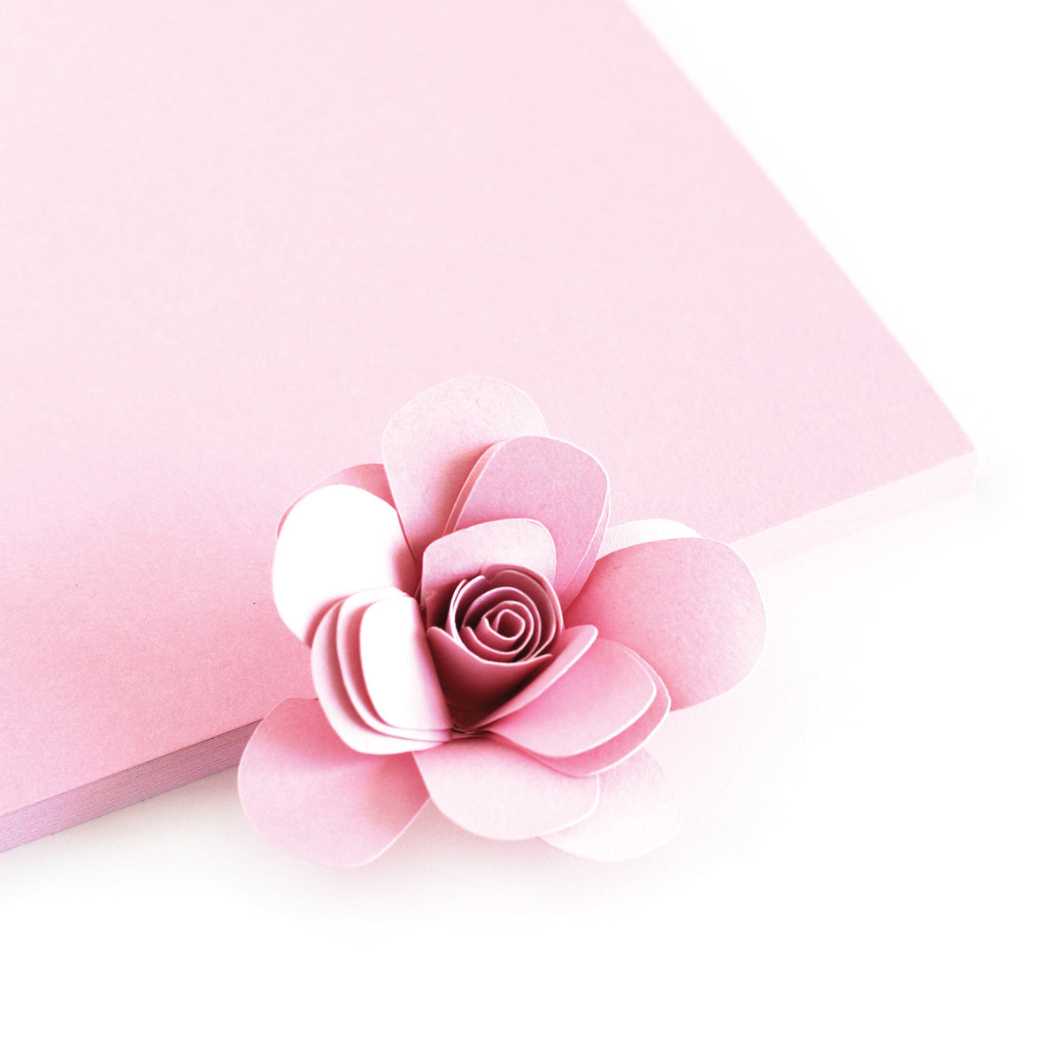 FRESH PINK CARDSTOCK – The Stamp Market